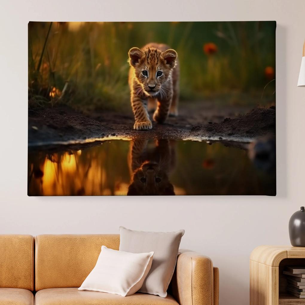 Obraz na plátně - Mládě lva v louži FeelHappy.cz Velikost obrazu: 120 x 80 cm