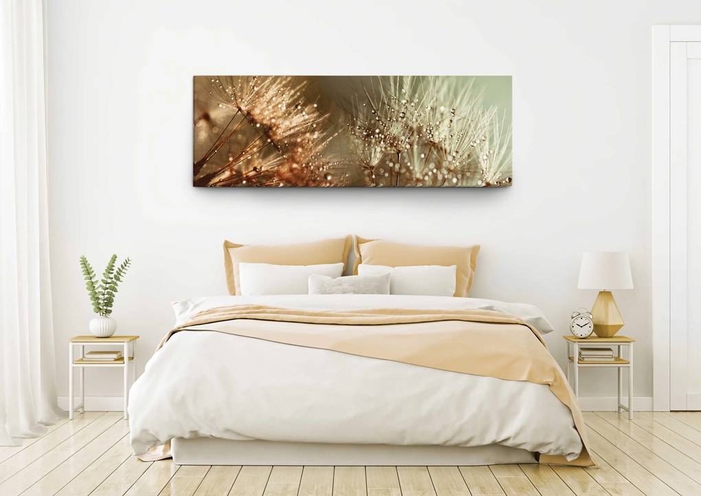 Obraz chmýří pampelišek Velikost (šířka x výška): 150x50 cm