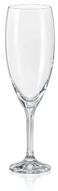 Crystalex - Bohemia Crystal Sklenice na šampaňské Magnolia 210 ml, 6 ks