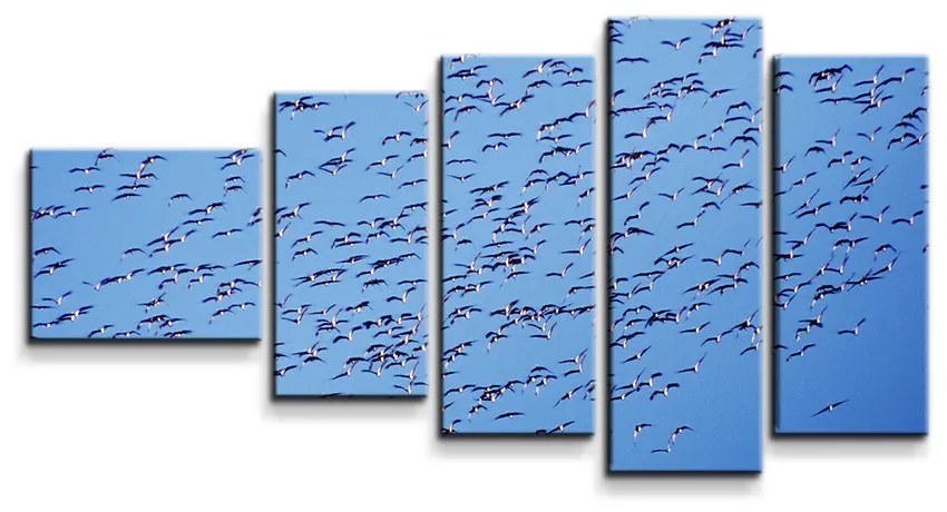 Sablio Obraz - 5-dílný Hejno ptáků - 100x60 cm