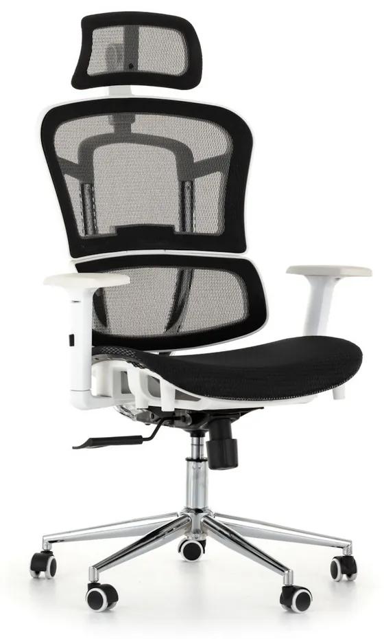 Kancelářská židle Pegasus, černá / bílá