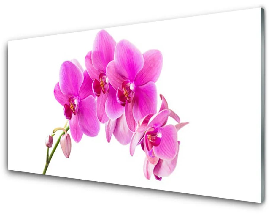 Obraz na skle Vstavač Květ Orchidej 120x60 cm