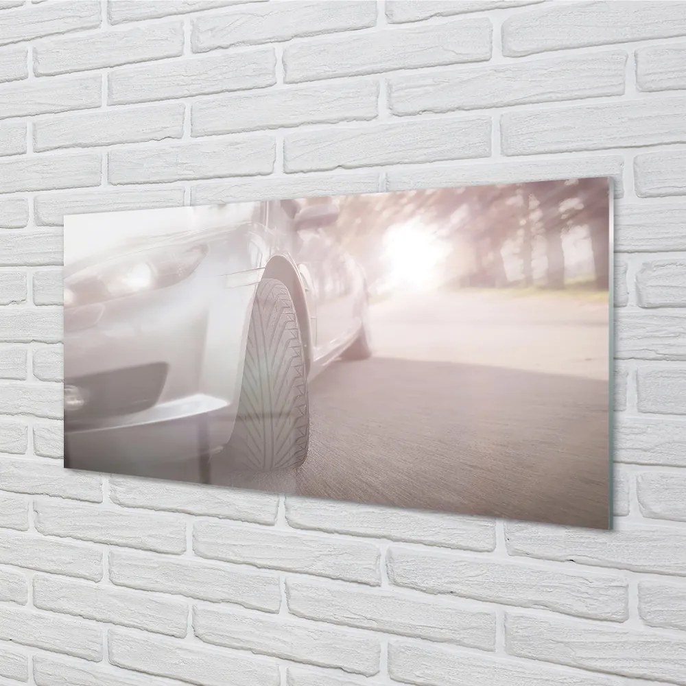 akrylový obraz Stříbrné auto street tree 100x50 cm