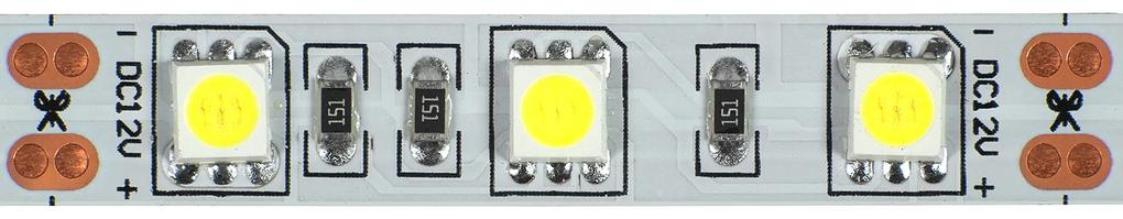 ECOLIGHT LED pásek - SMD 5050 - 50m - 14,4W/m - IP20 - studená bílá