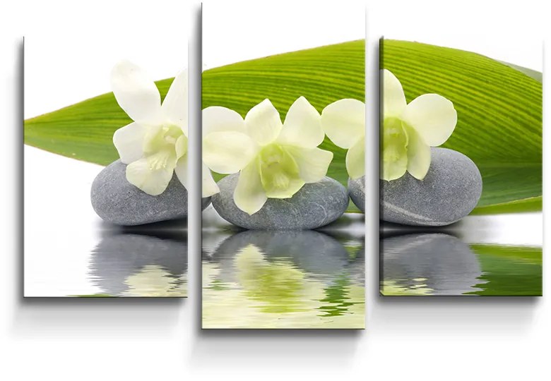Sablio Obraz - 3-dílný Bílá orchidej - 75x50 cm
