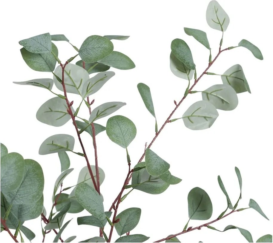 Umělý eukalyptus (výška 180 cm) Eucalyptus – Ixia