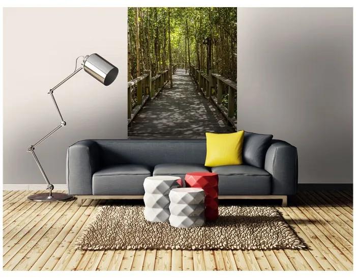 DIMEX | Vliesová fototapeta na zeď Mangrovový les MS-2-0059  | 150 x 250 cm | hnědá, zelená