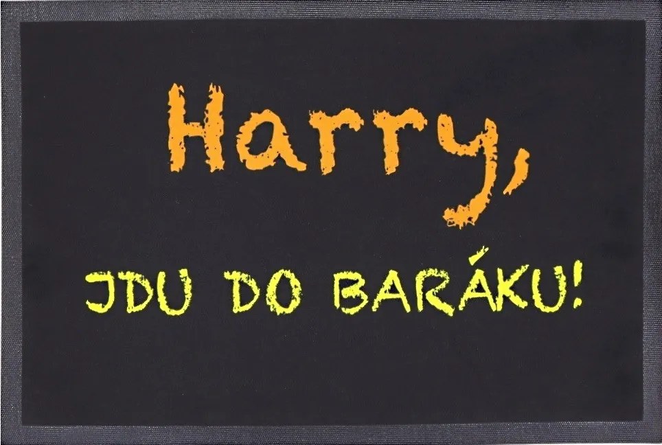 Rohožka Harry, jdu do baráku 40x60 cm, 40x60, čierna, Mercury Flooring