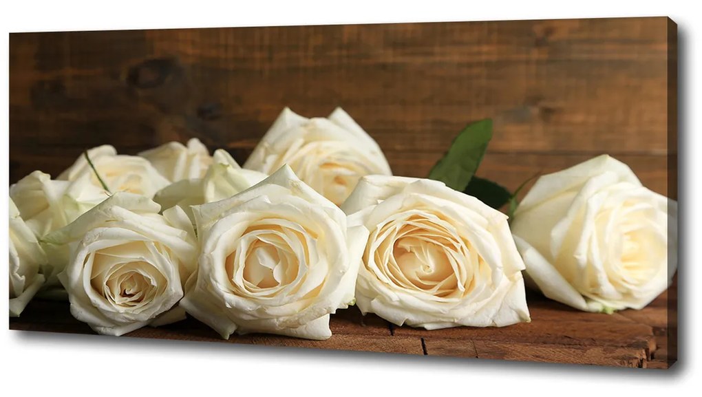 Foto obraz na plátně Bílé růže