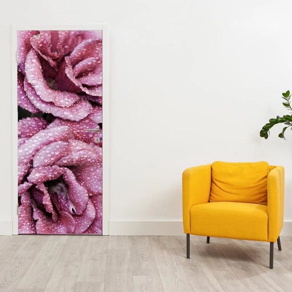 Fototapeta na dveře - Rosa na růžích (95x205cm)