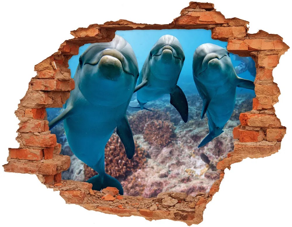 Wallmuralia Fototapeta díra na zeď Delfíni 90x70 cm