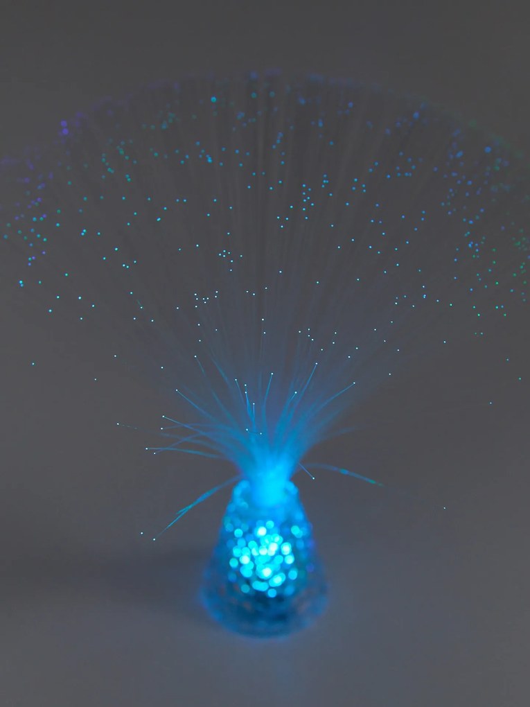 Sinsay - Dekorativní LED lampa s optickými vlákny - clear