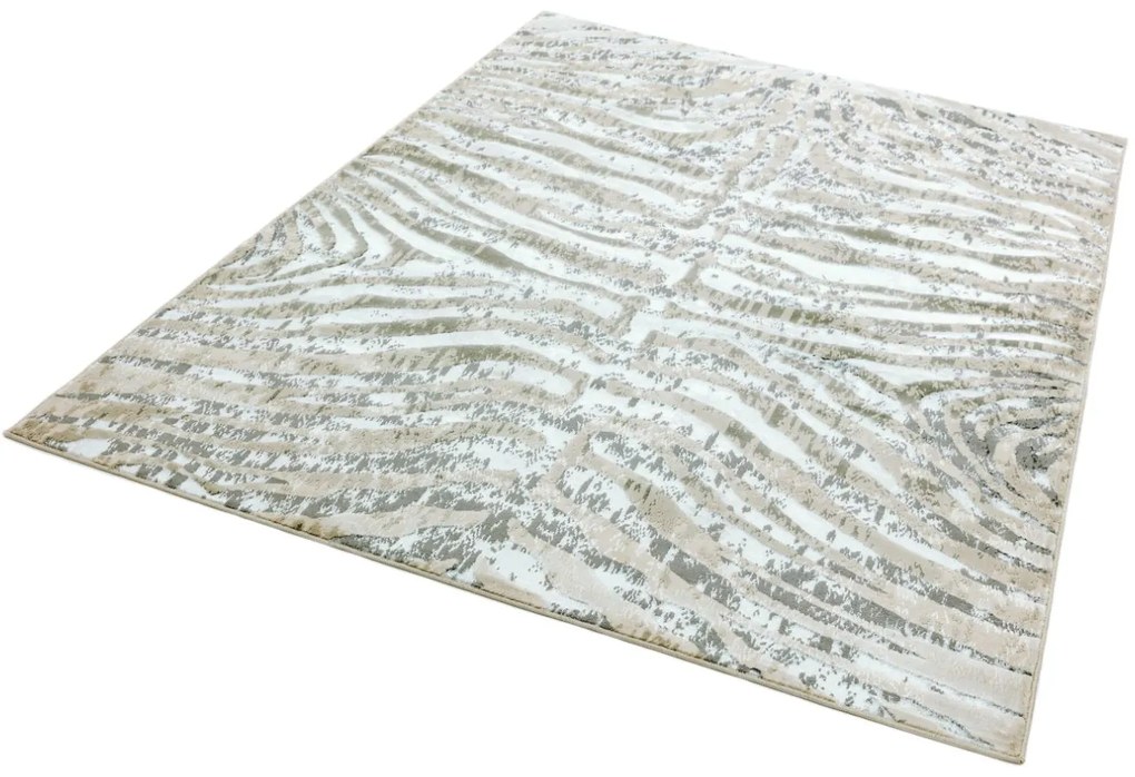 Šedý koberec Ston Zebra Rozměry: 120x170 cm