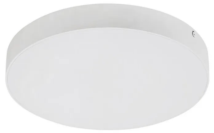 Rabalux Rabalux - LED Stropní svítidlo LED/24W/230V 3000-6000K IP44 bílá RL7894