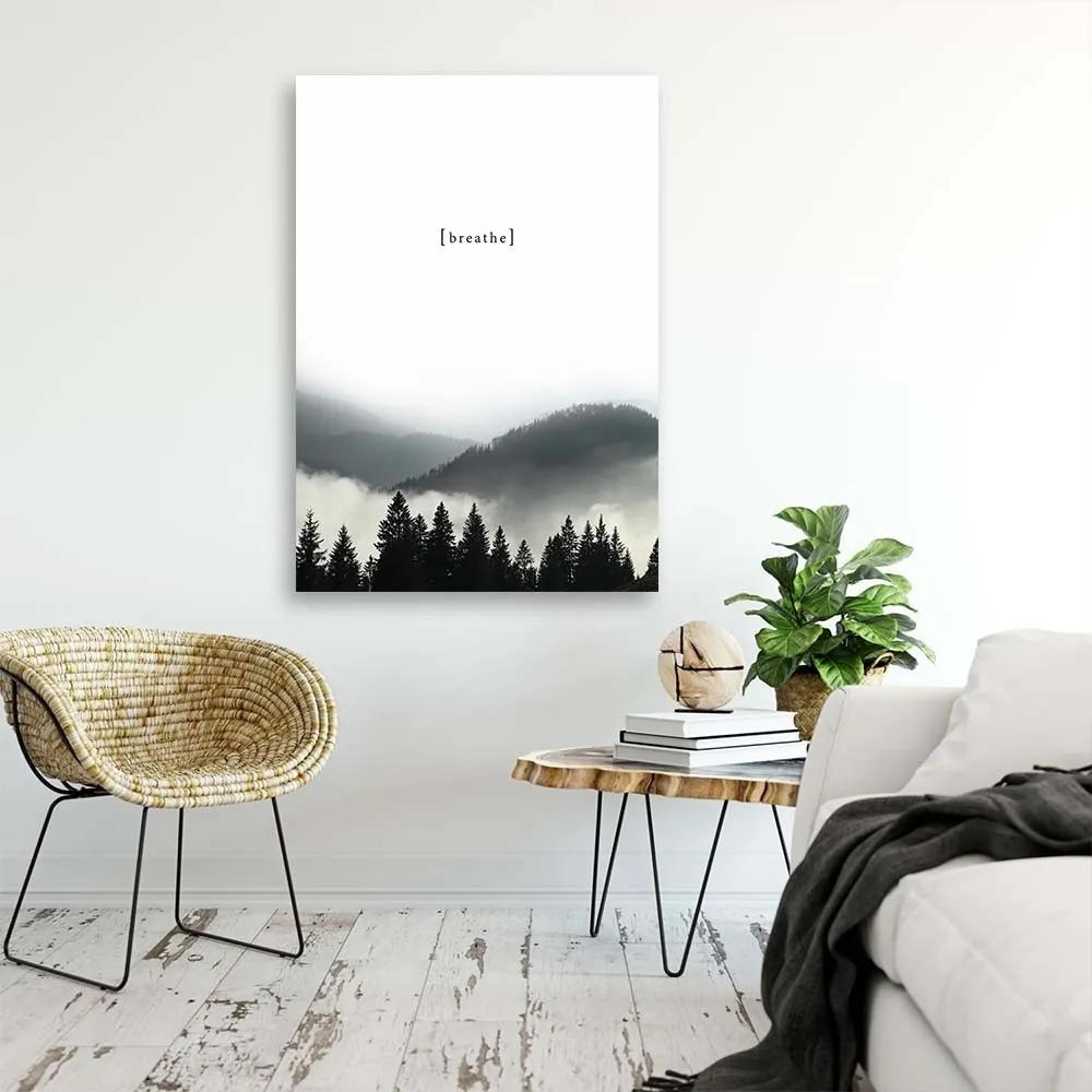 Obraz na plátně Forest Mountain Black White - 60x90 cm