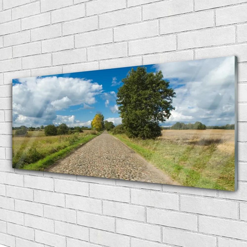 akrylový obraz Vesnice Cesta Dlažba Krajina 125x50 cm