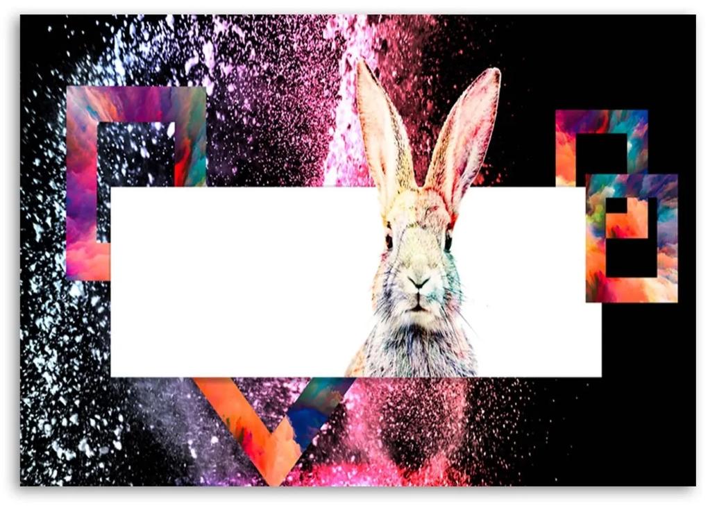 Obraz na plátně Zvířata králíků - 120x80 cm