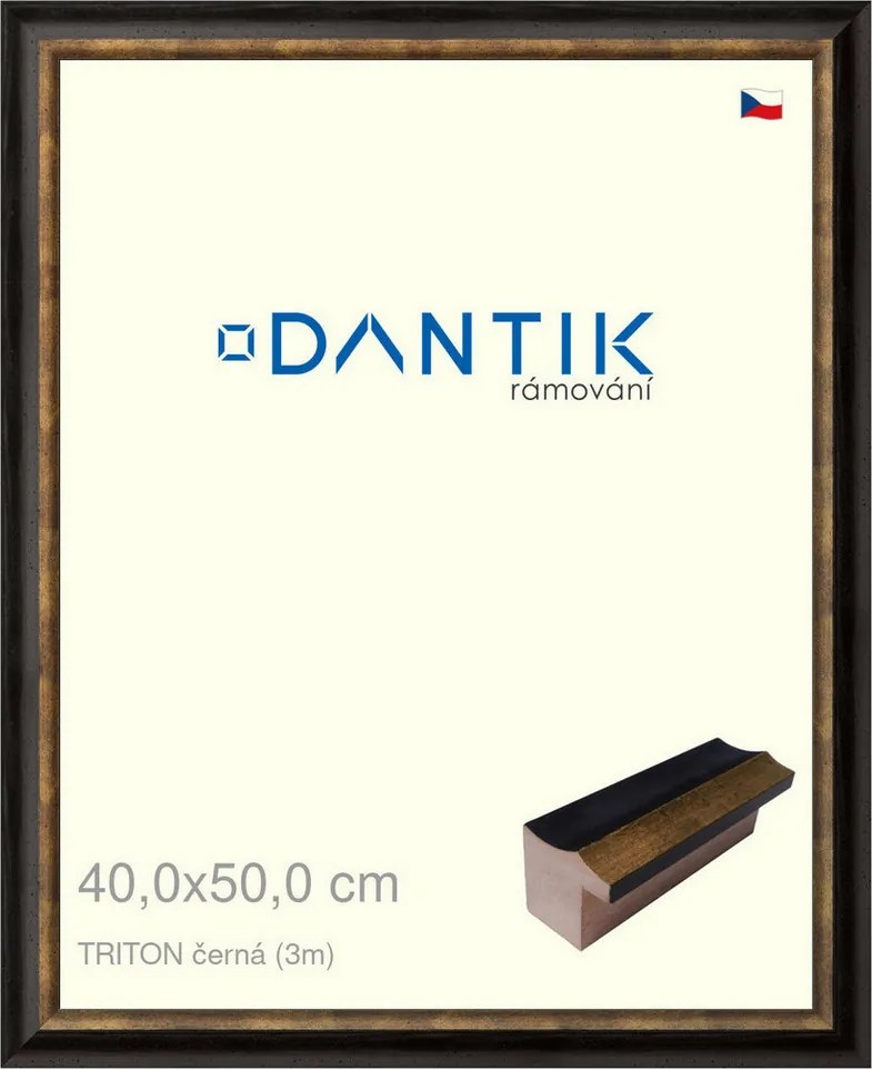 DANTIK rámeček 40x50 | TRITON černá (Sklo Čiré)