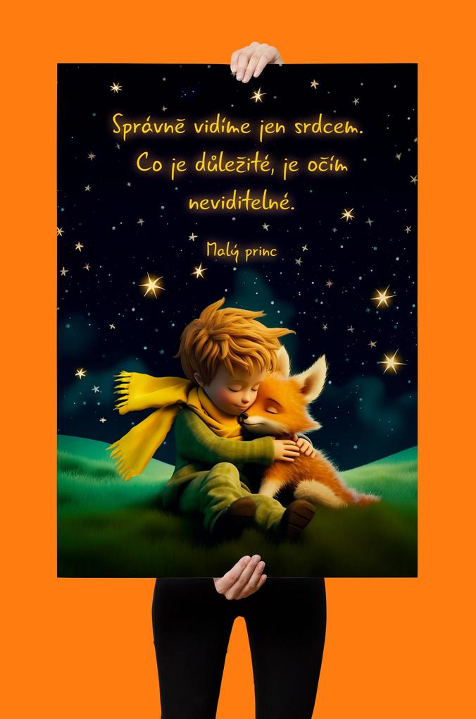 Plakát - Malý princ, vesmírné souznění, Správně vidíme jen srdcem FeelHappy.cz Velikost plakátu: A0 (84 x 119 cm)