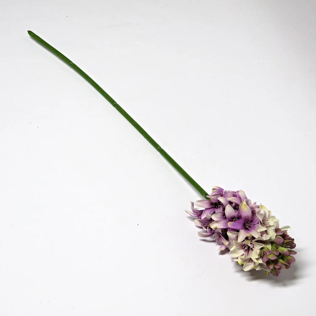 Hyacint  růžovo-khaki melír 56cm