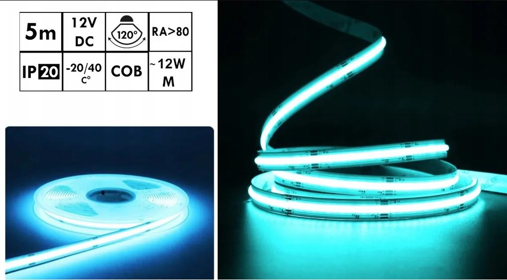 LED pásek NEON COB homogenní - 12V - 5 m - modrý