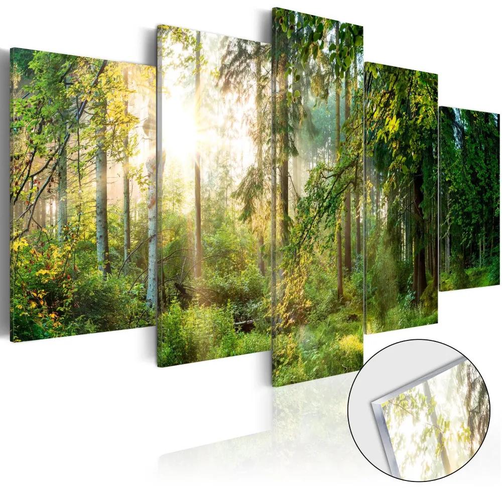 Obraz na skle Bimago - Green Sanctuary 100x50 cm