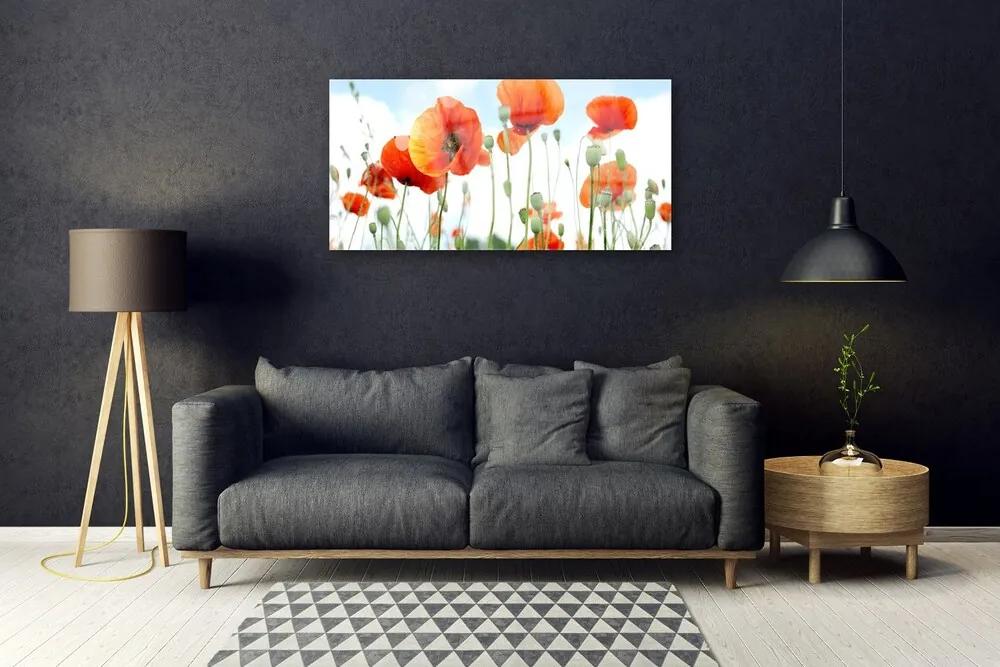 Obraz na skle Květiny Máky Louka Pole Příroda 100x50 cm