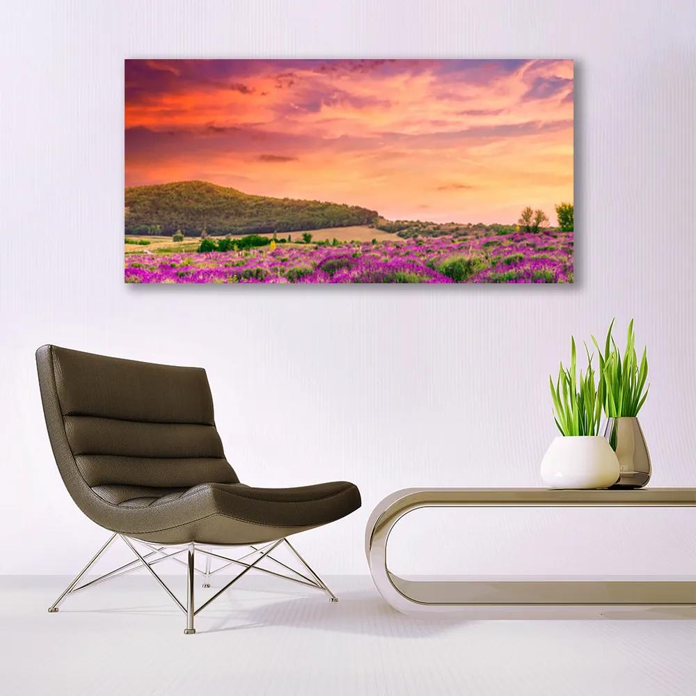 akrylový obraz Louka Květiny Krajina 120x60 cm