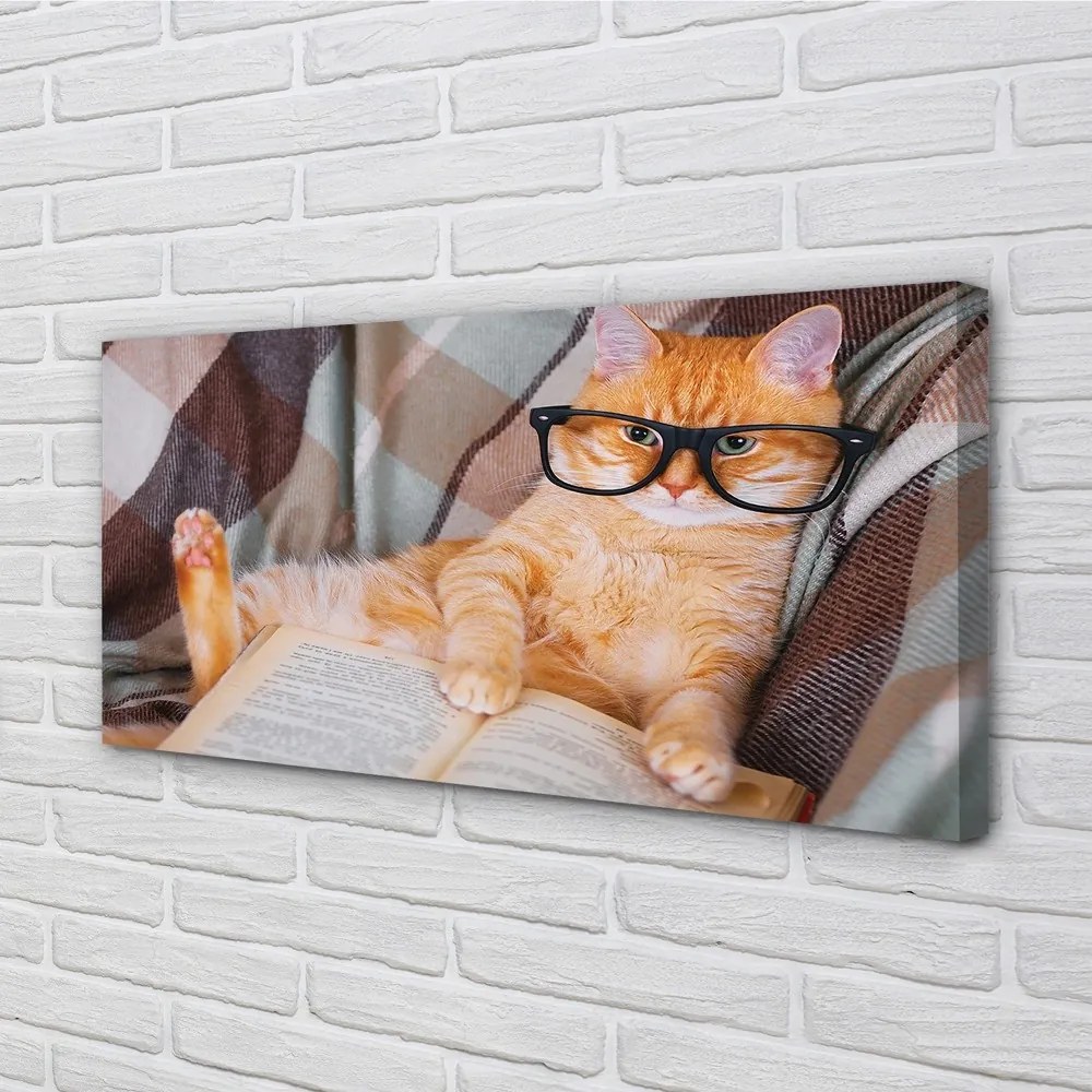 Obrazy na plátně Čtenář cat 100x50 cm