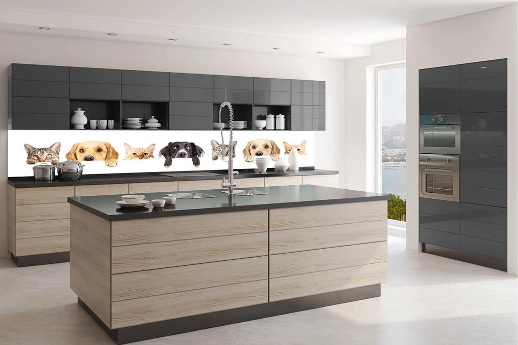DIMEX | Fototapeta do kuchyně Kočky a psi KI-350-175 | 350 x 60 cm | bílá, šedá, černá, béžová