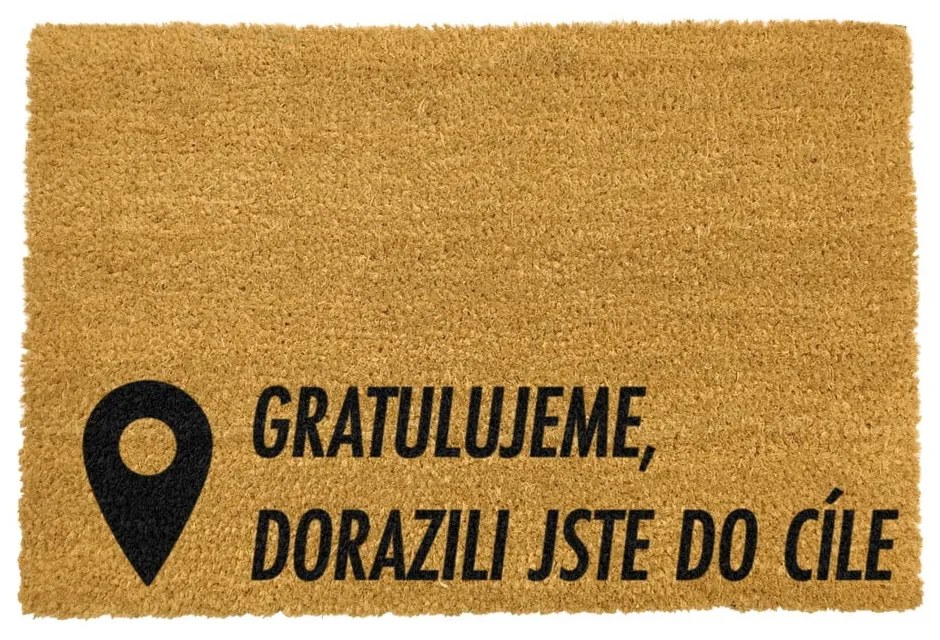 Rohožka z přírodního kokosového vlákna Artsy Doormats Cíl, 40 x 60 cm