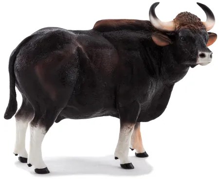 Mojo Gaur býk