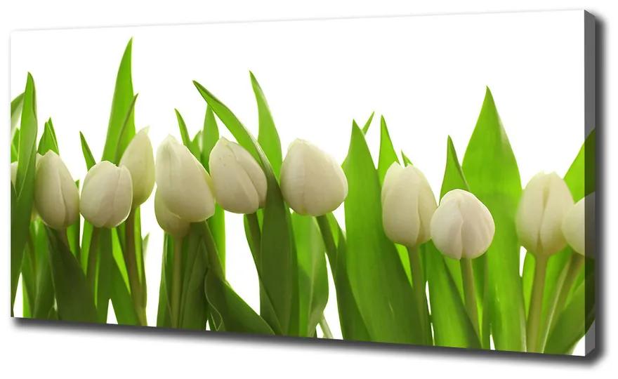 Wallmuralia Foto obraz na plátně do obýváku Bílé tulipány 140x70 cm
