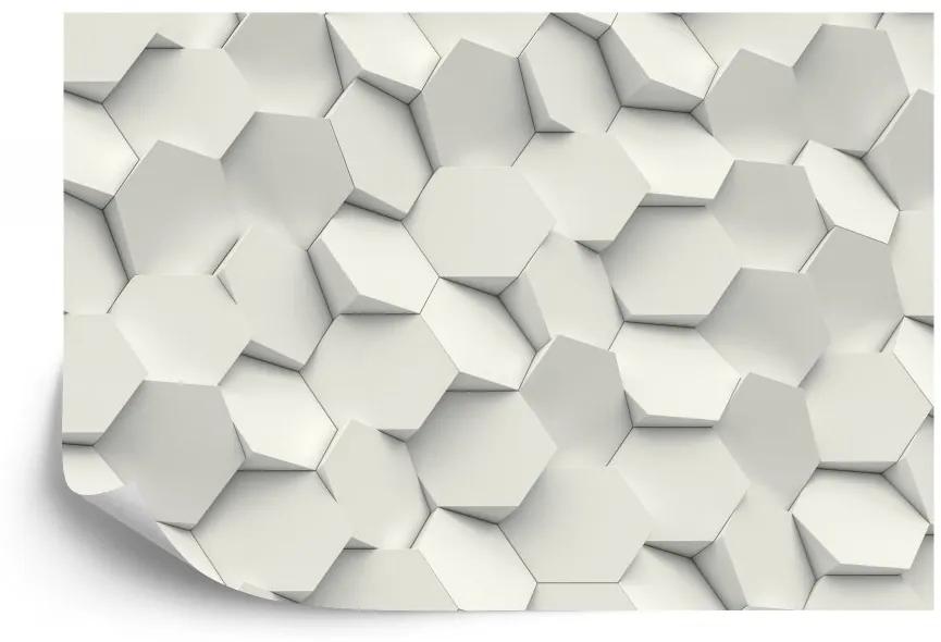 Fototapeta Hexag Strukturální vinyl 416x254