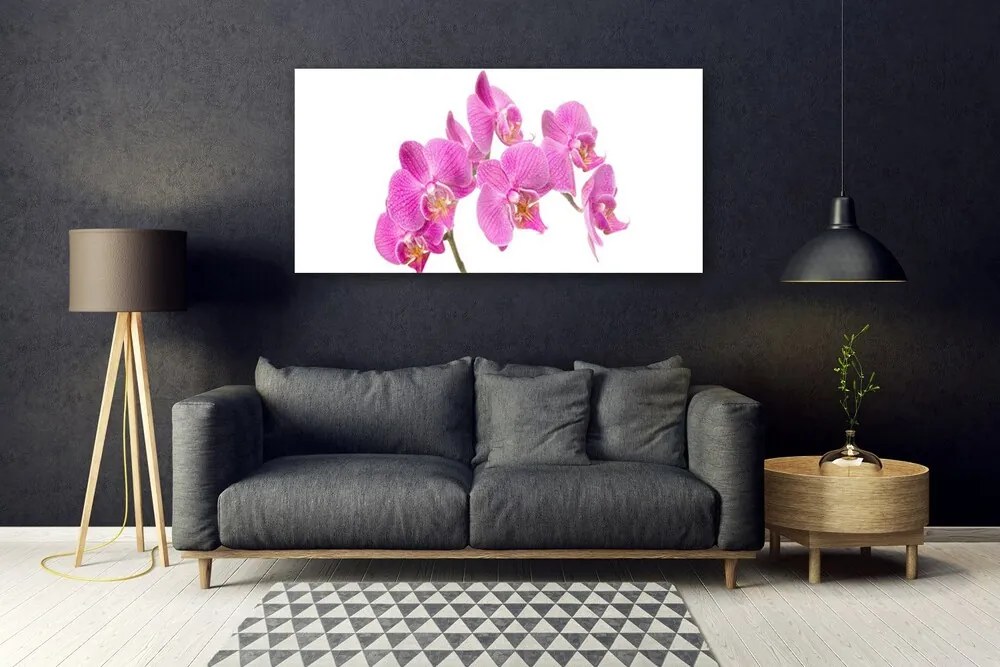 Plexisklo-obraz Orchidej Květiny Příroda 120x60 cm