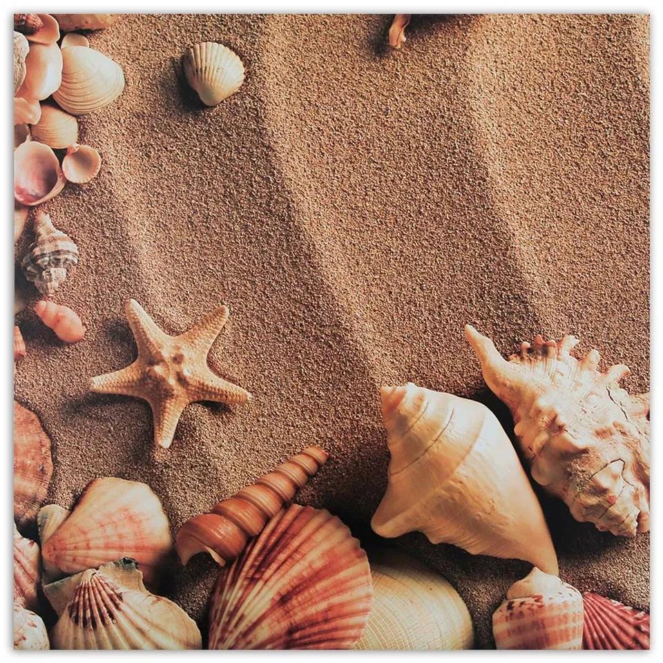 Gario Obraz na plátně Mušle na suchém písku Rozměry: 30 x 30 cm