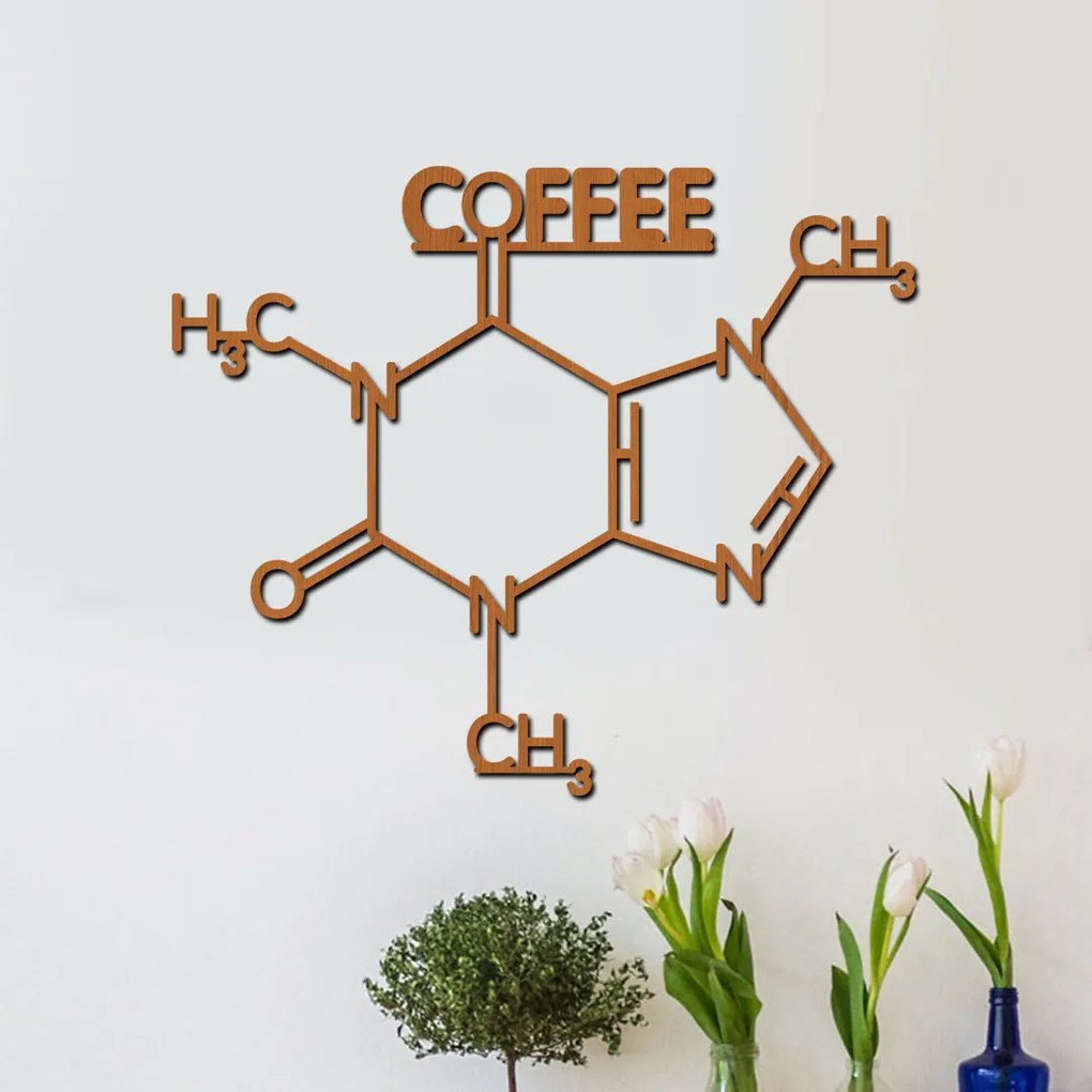 dřevo života Dřevěný obraz COFFEE FORMULA Zvolte rozměr (cm): 40x33, Zvolte barvu dekoru: Bílá