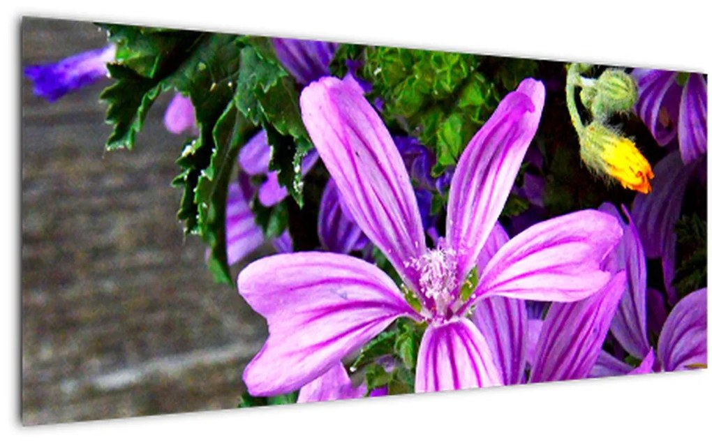 Obraz - luční květiny (100x40 cm), 40 dalších rozměrů