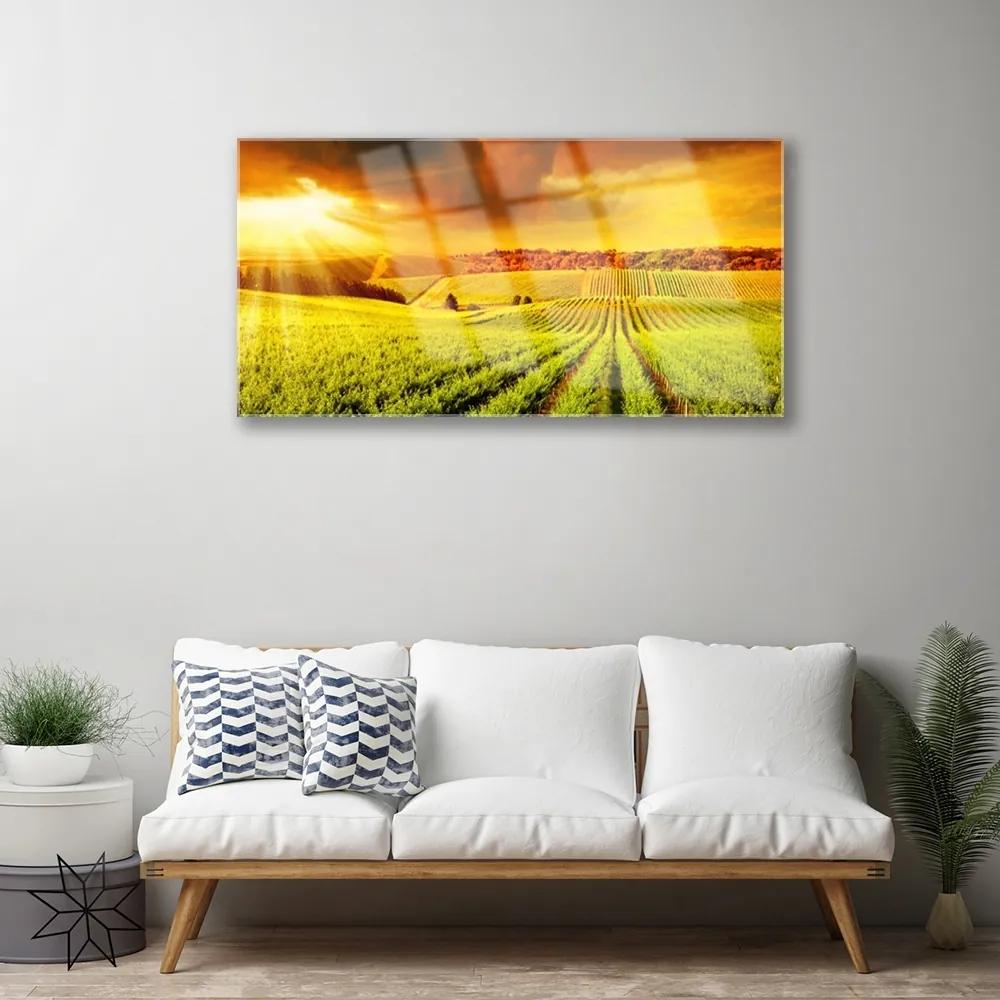 akrylový obraz Pole Západ Slunce Krajina 100x50 cm