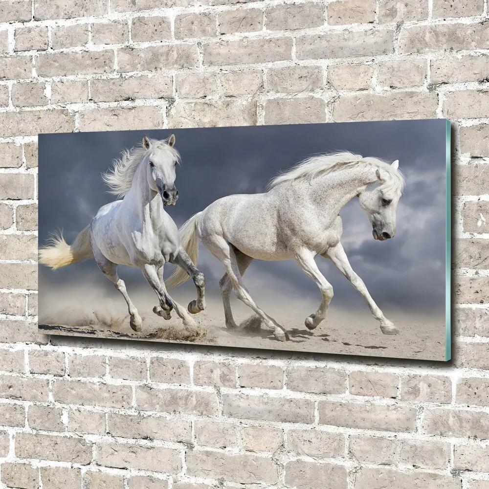 Wallmuralia Fotoobraz skleněný na stěnu do obýváku Bílí koně pláž 140x70 cm