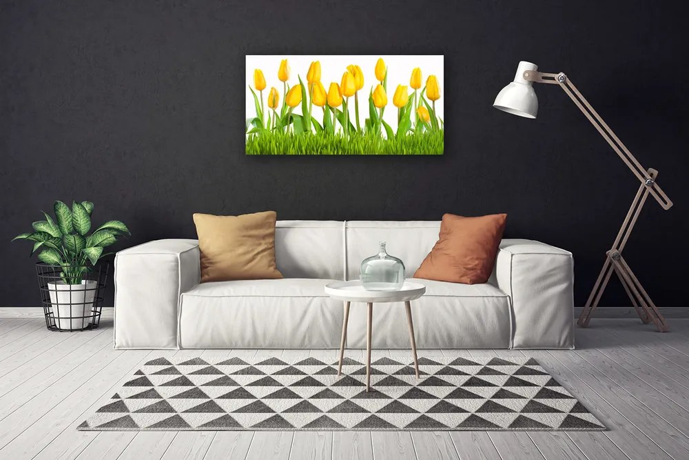 Obraz na plátně Tulipány 100x50 cm