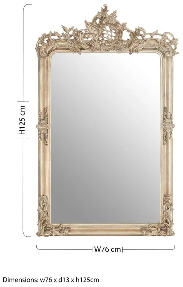 Nástěnné zrcadlo 76x125 cm Gilda – Premier Housewares