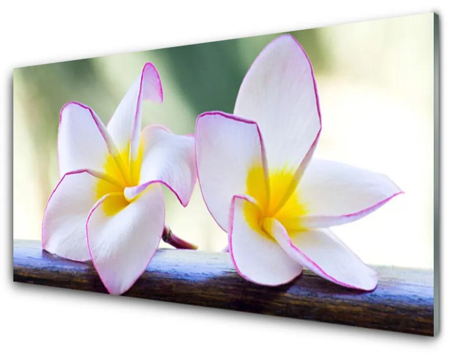 Obraz na skle Květiny Plátky Plumérie 100x50 cm