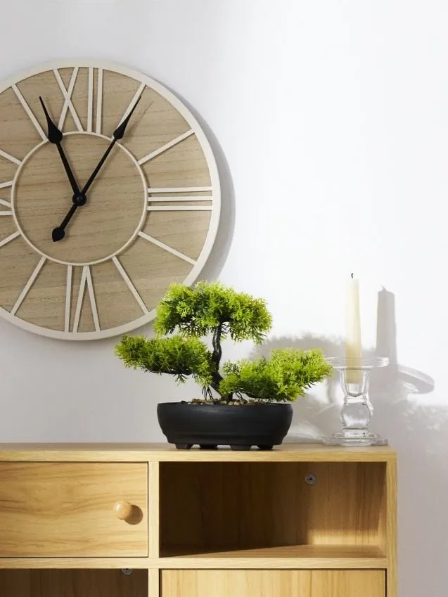 Sinsay - Dekorační rostlina bonsai v květináči - zelená