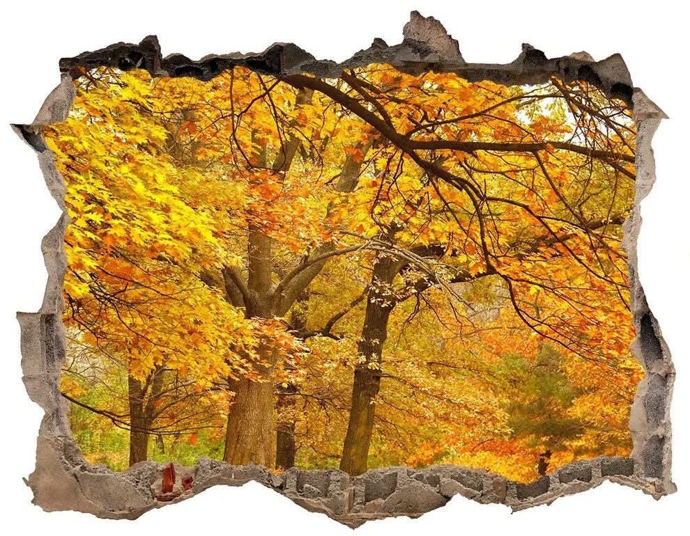 Wallmuralia Díra 3D ve zdi nálepka Podzim v parku 95x64 cm