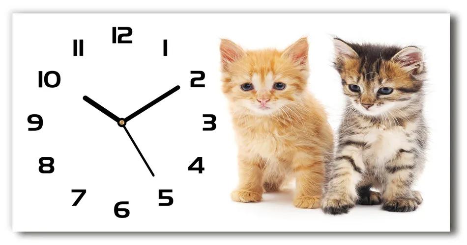Wallmuralia Skleněné hodiny na stěnu Hnědá a červená kočka 60x30 cm