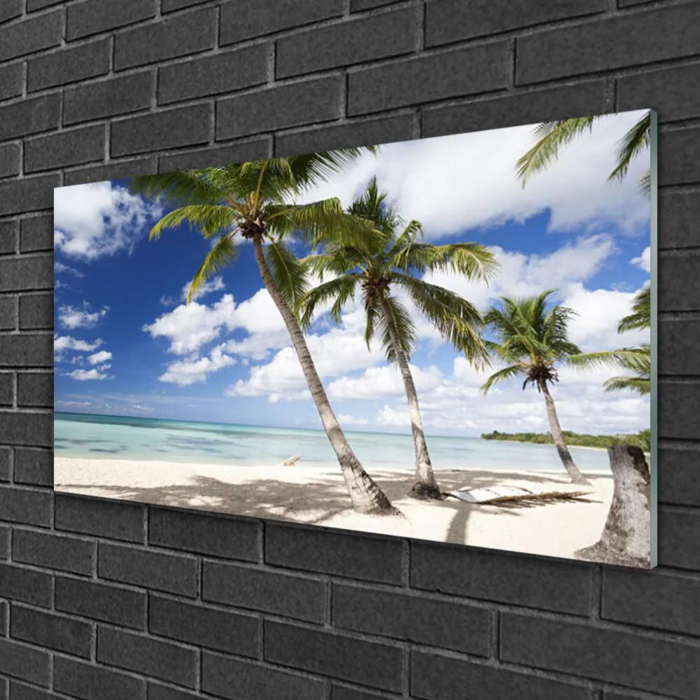 Obraz na skle Moře Pláž Palma Krajina 120x60 cm