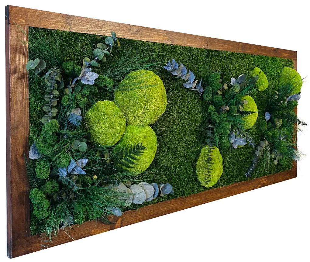 WOODILO Obraz ze stabilizovaného mechu a rostlin 208 Rozměr obrazu: 100x100 cm, Barva rámu: Odstín ořech (namořené borovicové dřevo), Síla rámu (pohledová): 2,5 cm