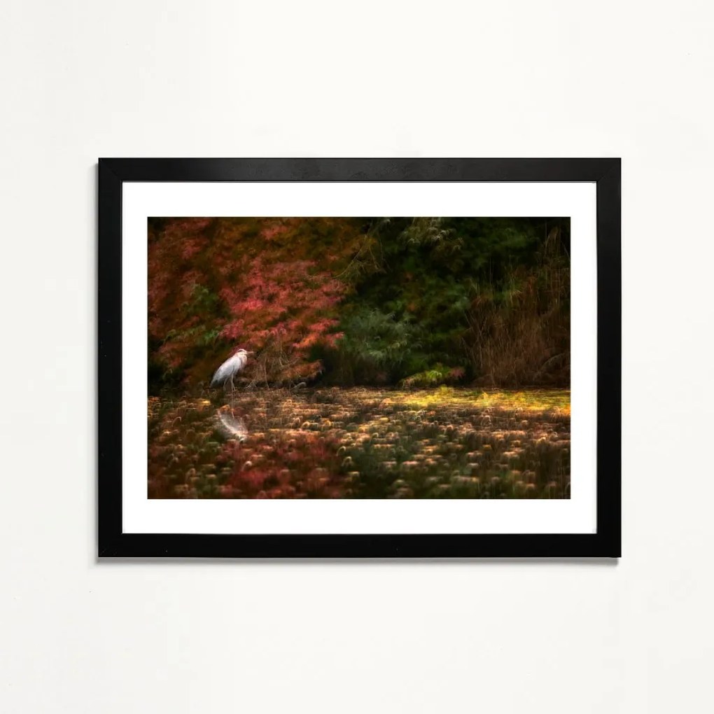 Jiří Hřebíček | Silent Autumn Admirer Rám: Bez rámu, Velikost: 20 x 30 cm