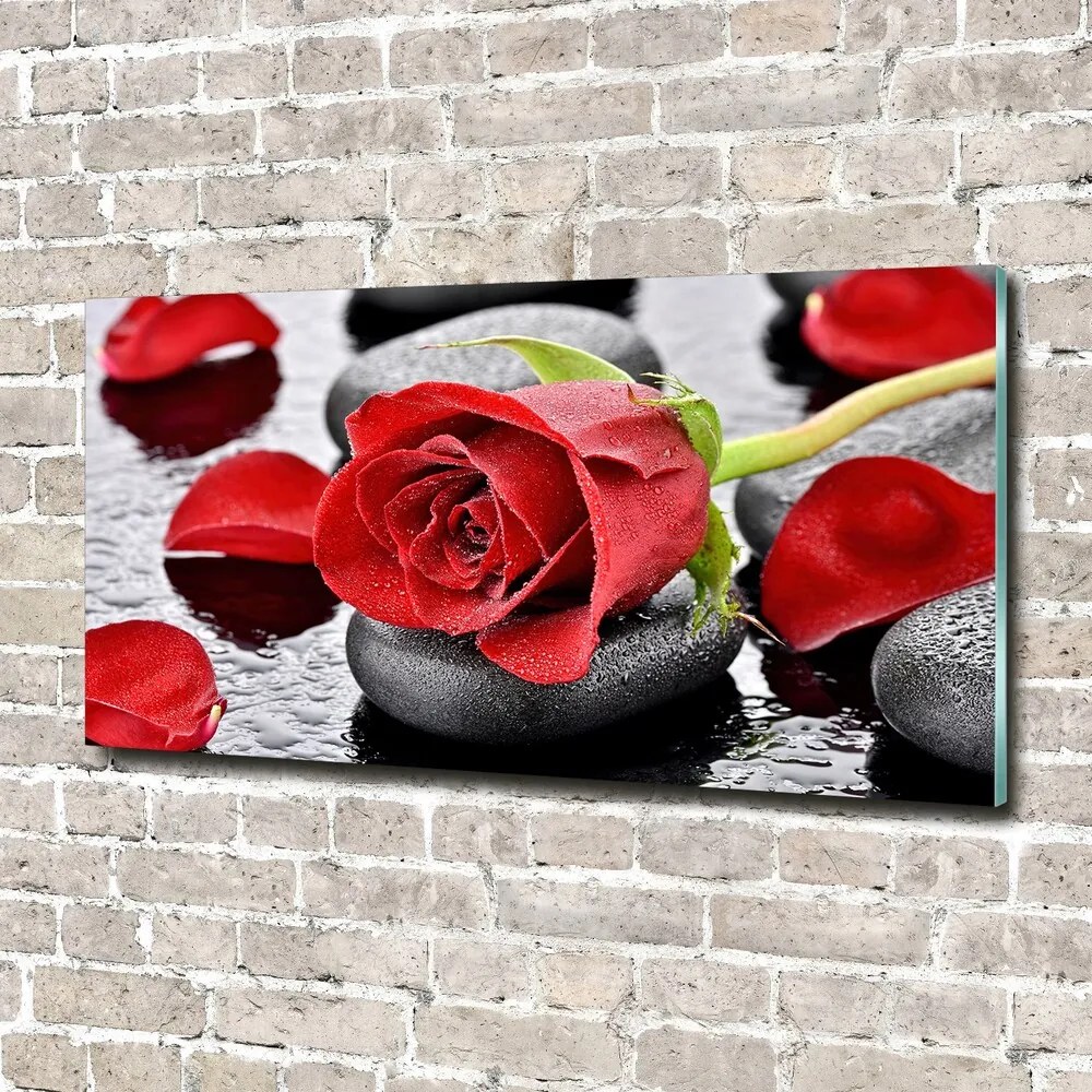 Wallmuralia Moderní skleněný obraz z fotografie Červená růže 140x70 cm
